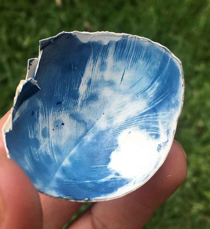 Cyanotype Online Workshop | Kim Herringe