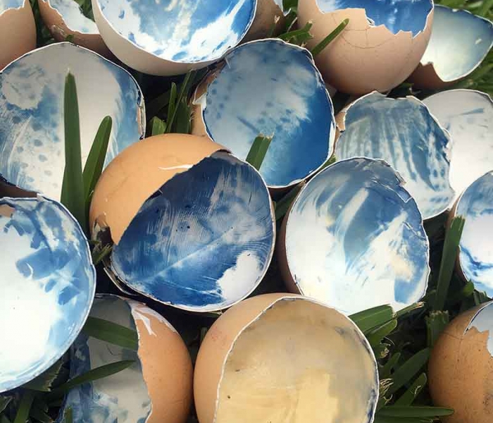 Cyanotype Workshops | Kim Herringe