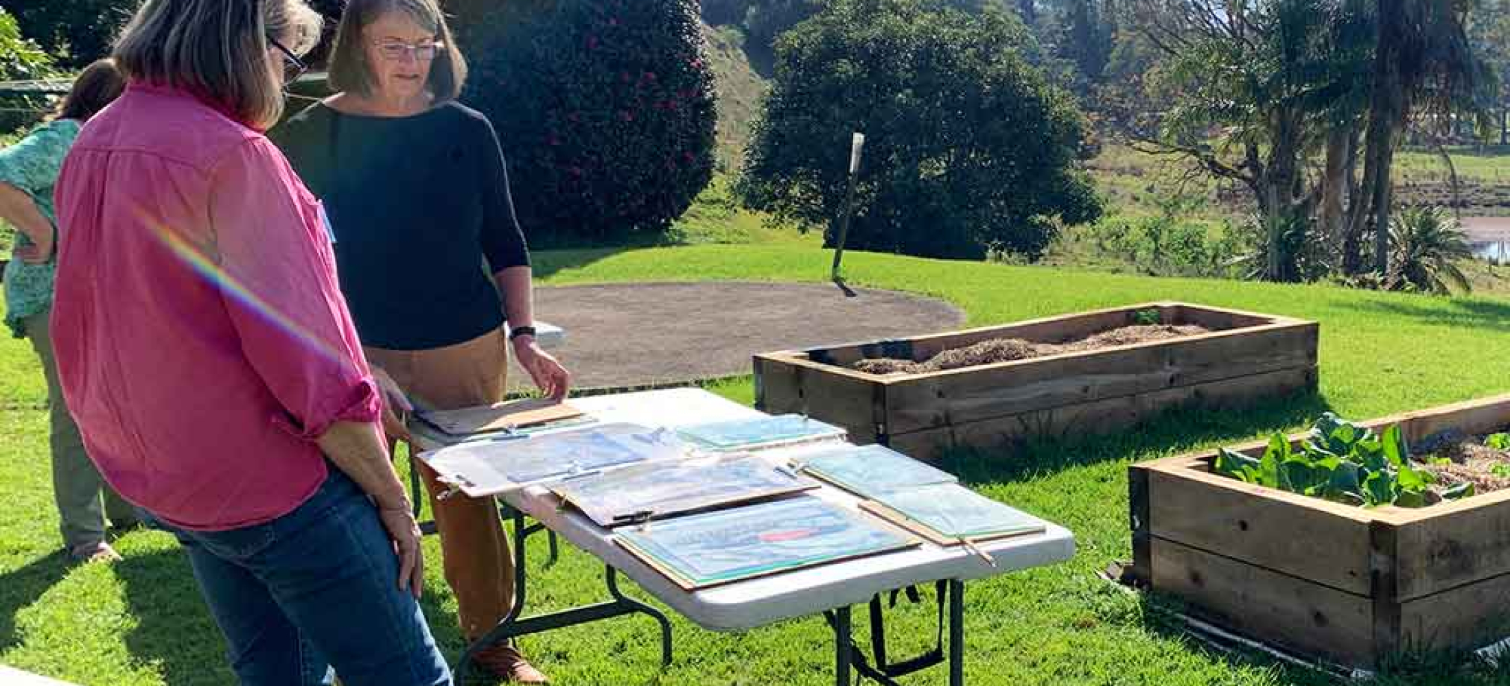 Cyanotype, August 23 | Kim Herringe