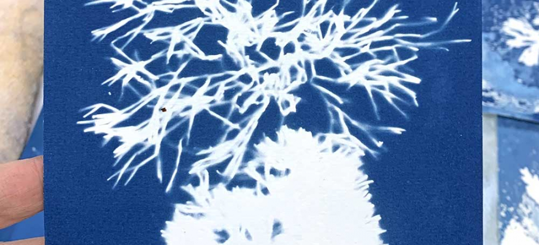 Cyanotype Workshop April 2023 | Kim Herringe