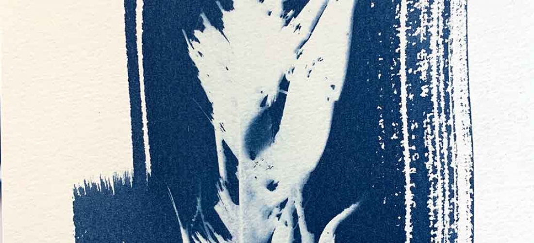 Cyanotype Workshop May 2023 | Kim Herringe