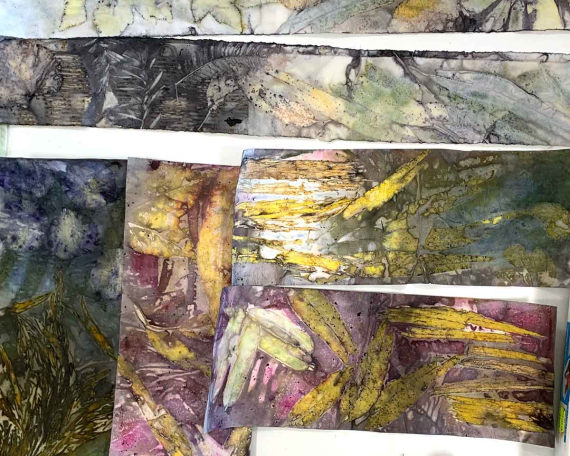 Eco-printing on Paper June 24 | Kim Herringe